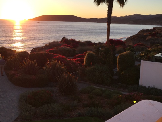 While You Were Working SmartBrief